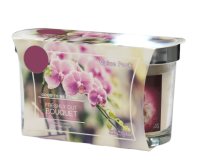 Visual Pak's Secondary Packaging: Elevating Shopping Experiences