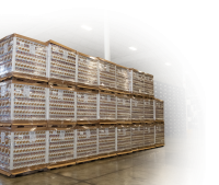 Shipping & Logistics - The Visual Pak Companies